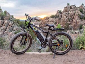 Rad Rover - Fat Tire | Prescott Ebike Rentals, Sales, Tours
